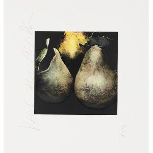 Donald Sultan | Fruit and Flower (1991) | MutualArt
