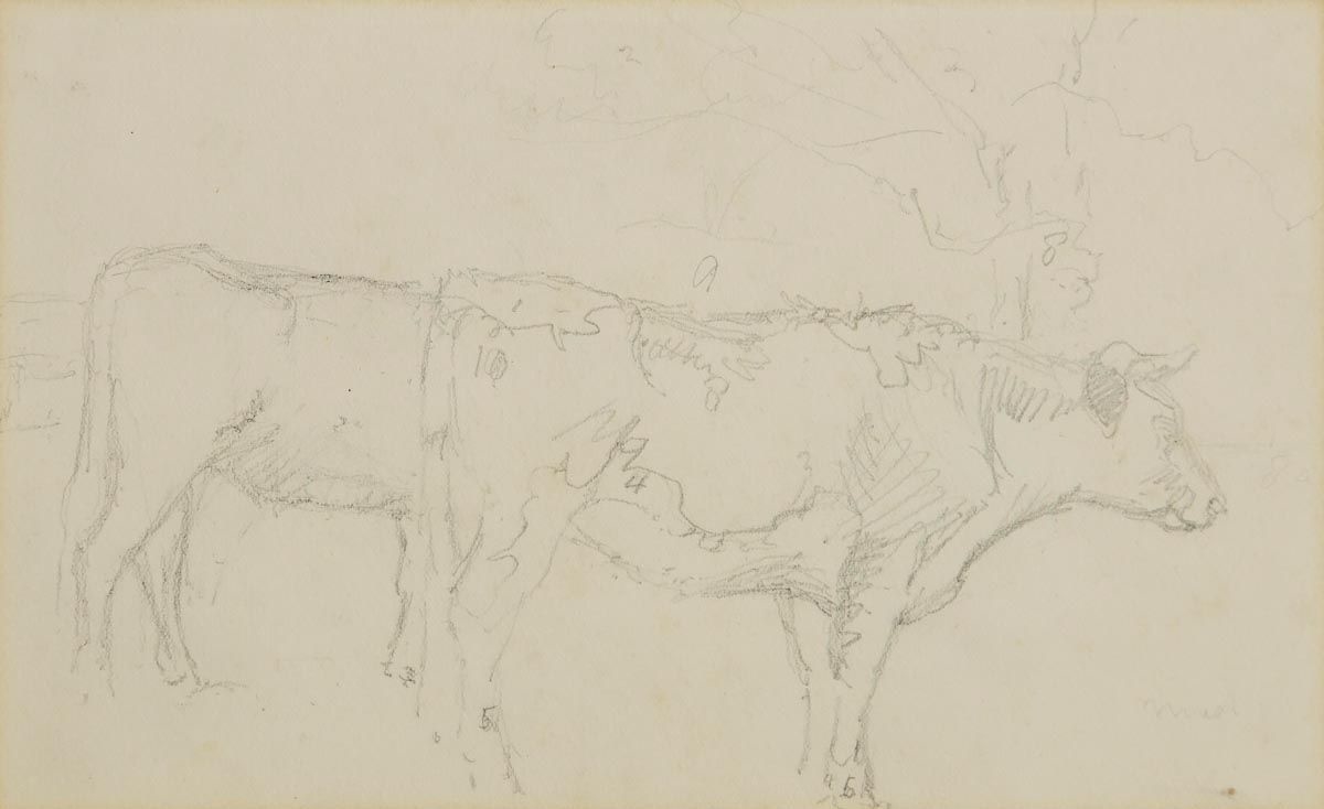 Mildred Anne Butler | Cattle Grazing | MutualArt