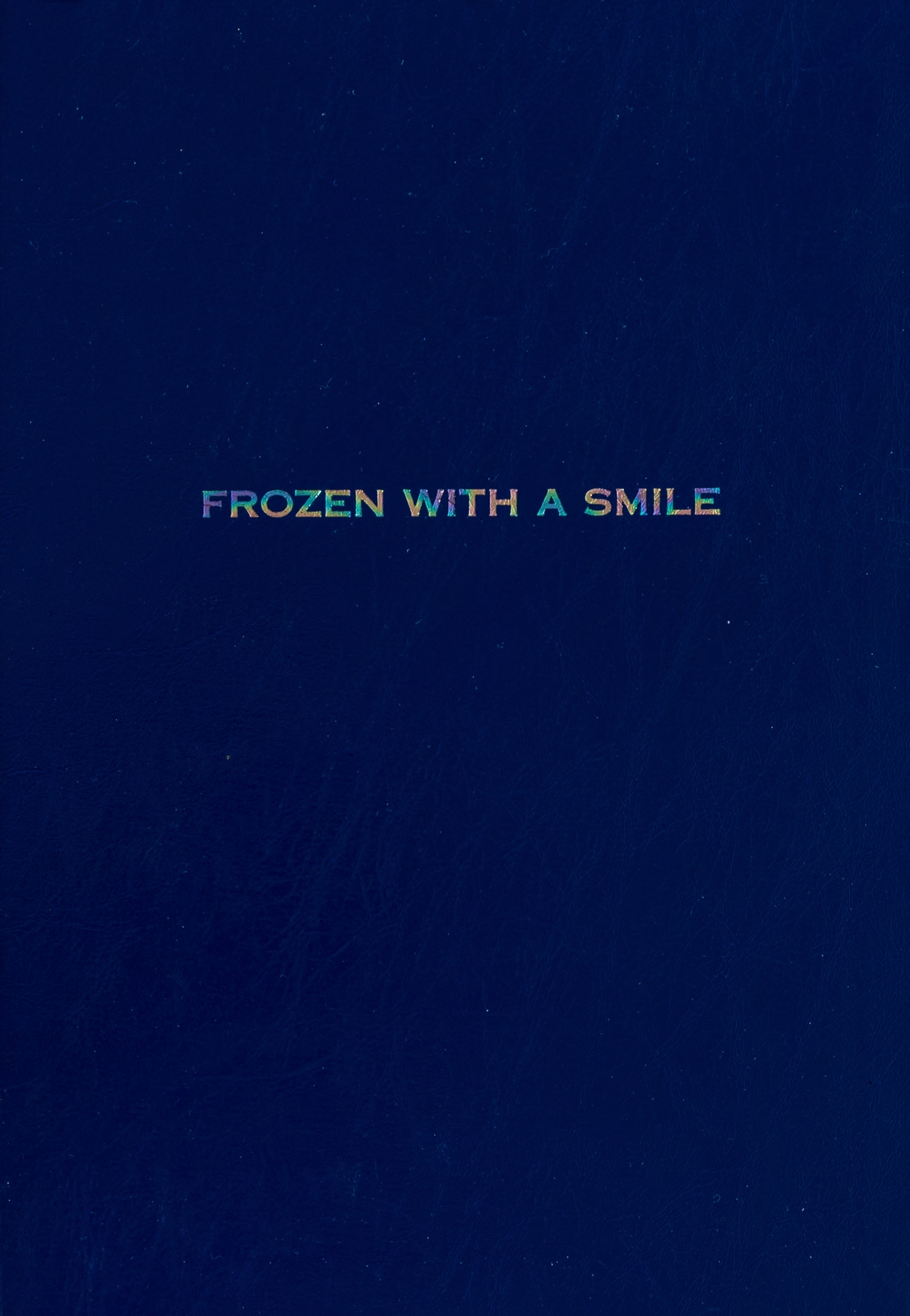 Koo Jeong A | Frozen with a smile (2003) | MutualArt