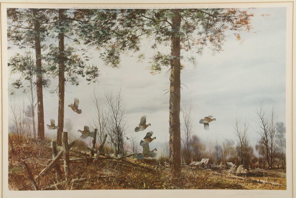David Hagerbaumer | Rising Quail | MutualArt