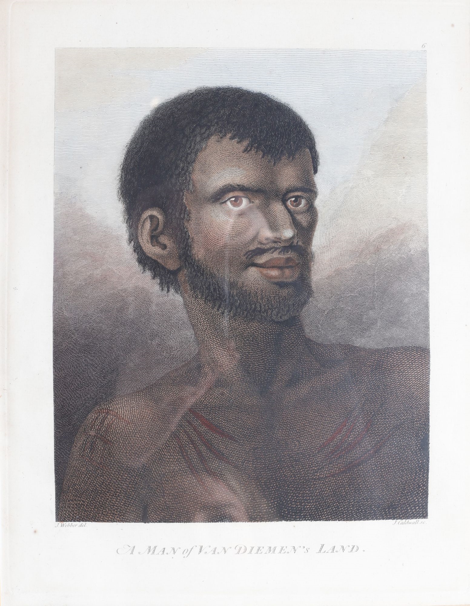 John Webber | A Man of Van Diemen's Land | MutualArt