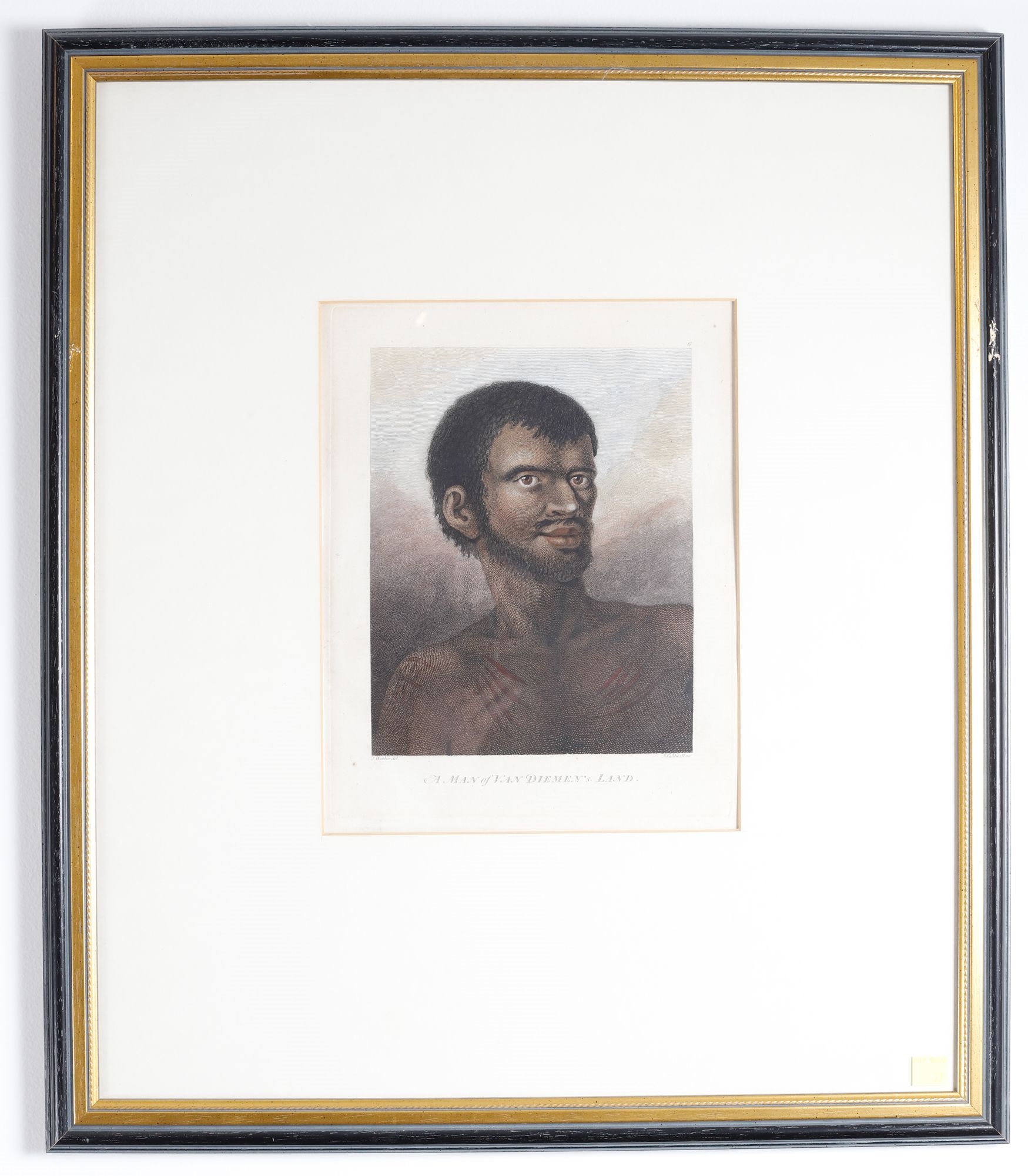 John Webber | A Man of Van Diemen's Land | MutualArt