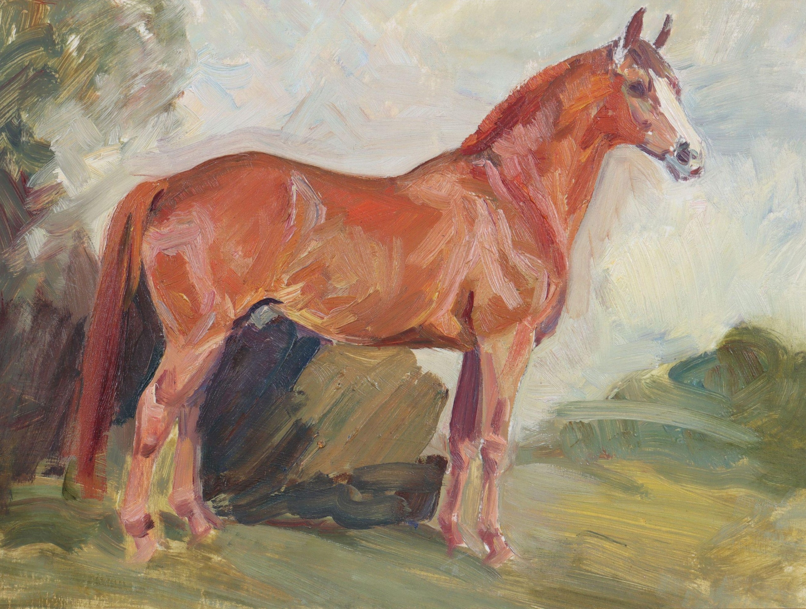 Cathleen Edkins | Chestnut Horse | MutualArt