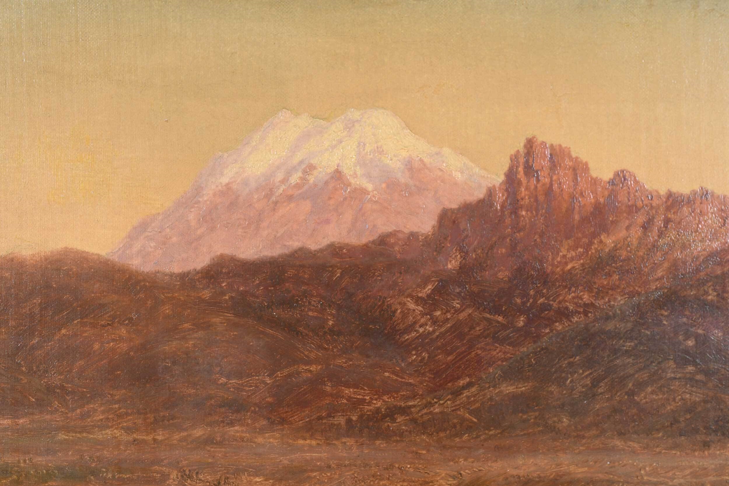 Louis Remy Mignot | Mount Chimborazo (1862) | MutualArt