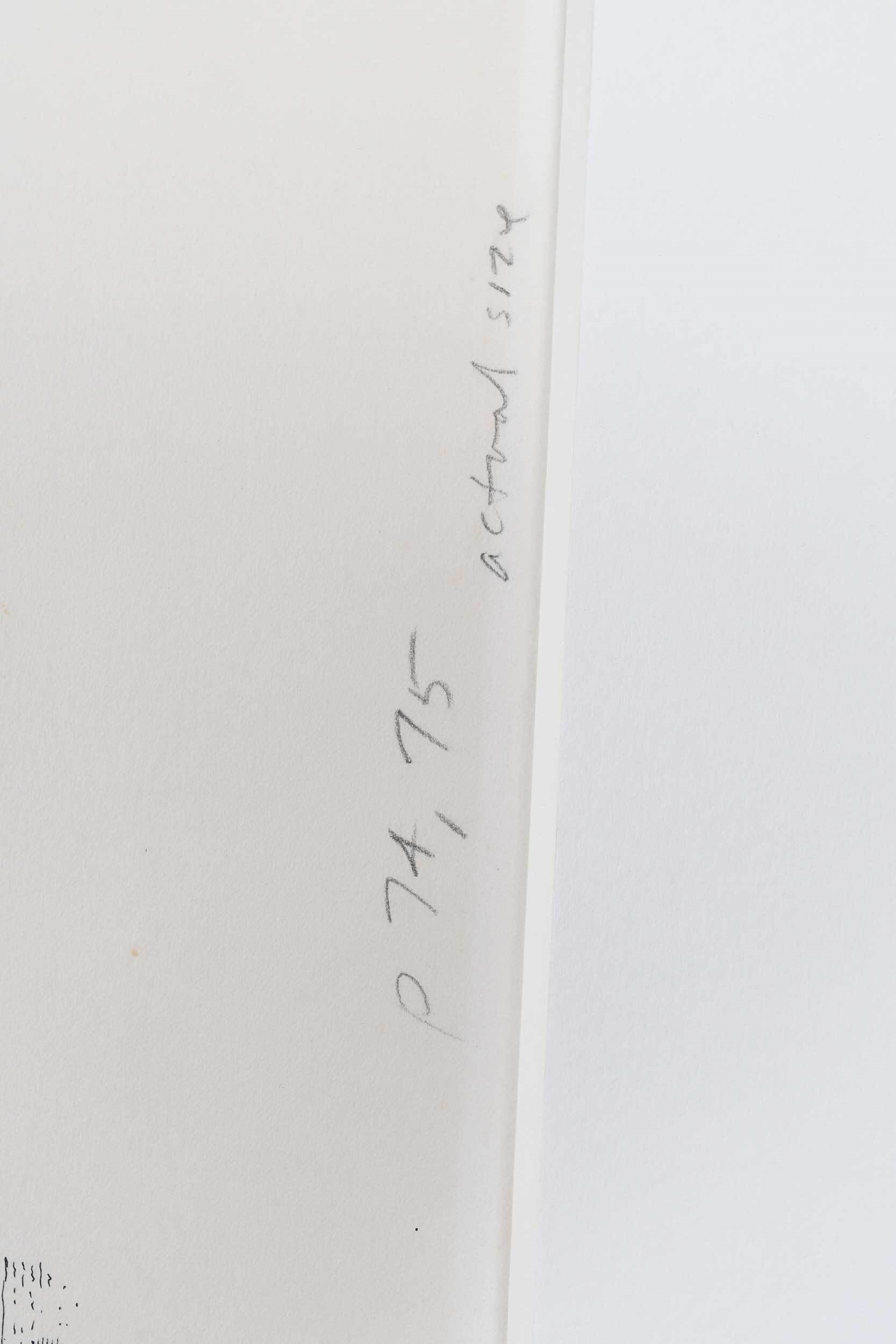 David Macaulay | Statue of Liberty (1980) | MutualArt