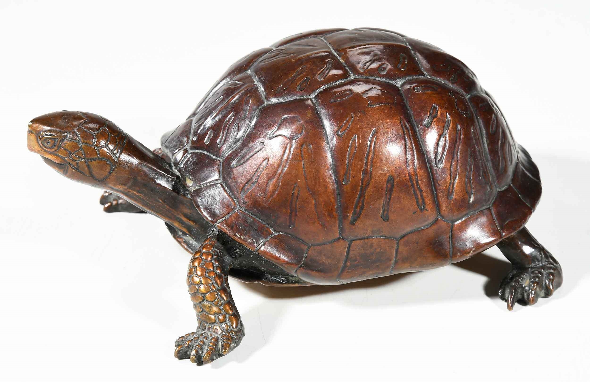 Bill Hunt | Box Turtle (1994) | MutualArt