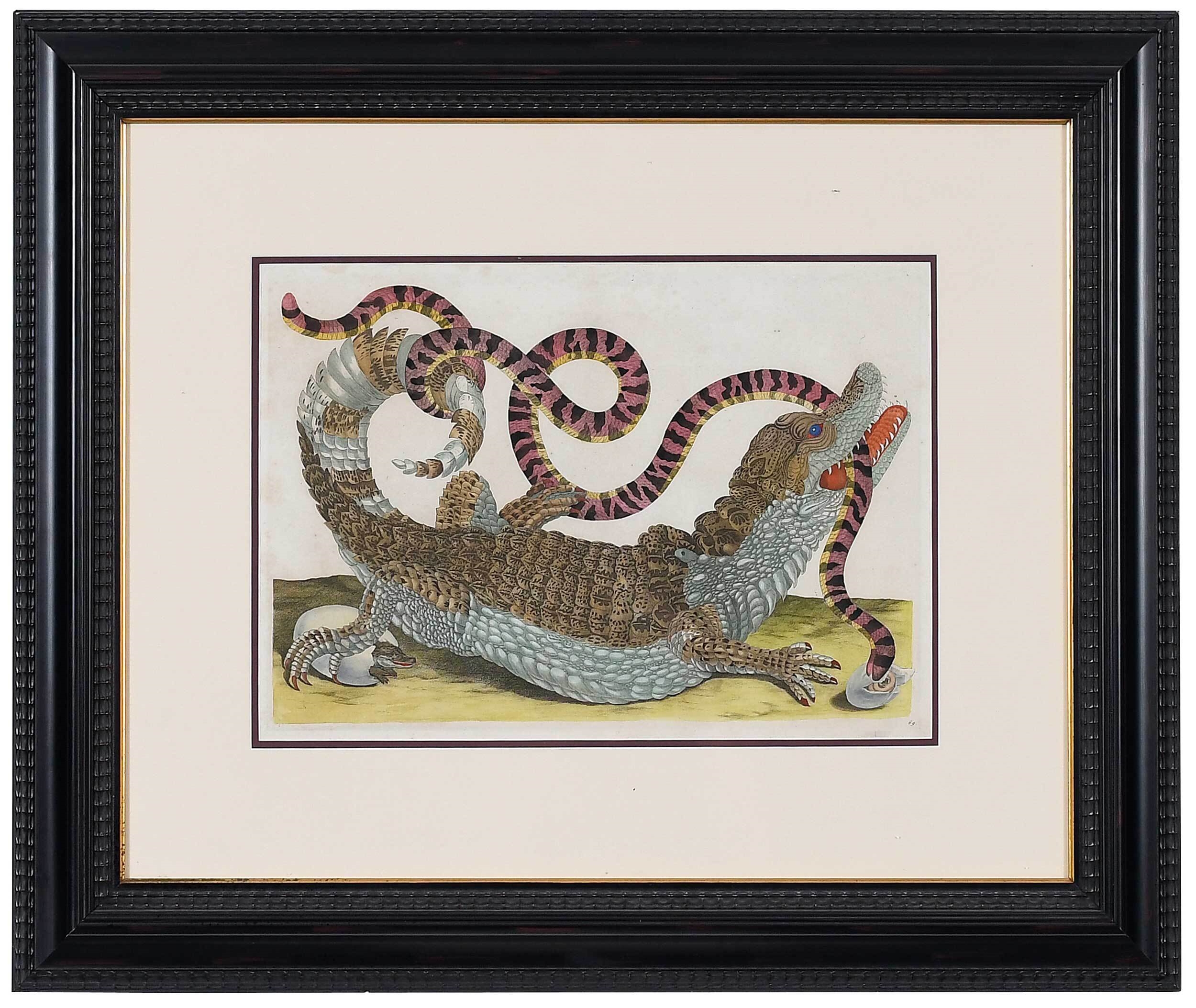 Maria Sibylla Merian | Common or Spectacled Caiman with South American ...