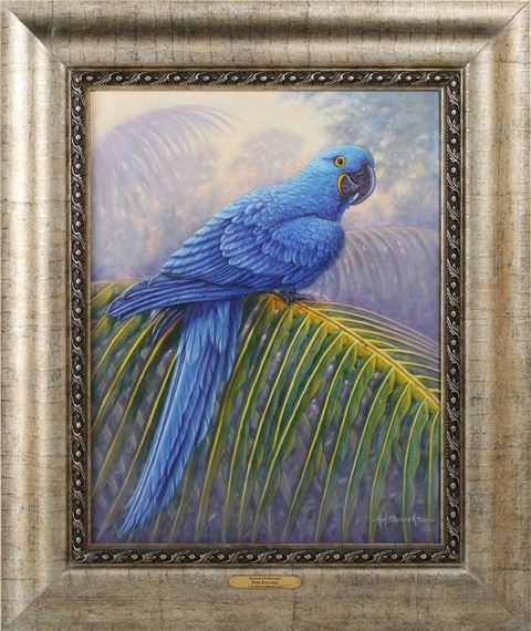 Kim Brooks | Hyacinth Macaw (20th Century) | MutualArt