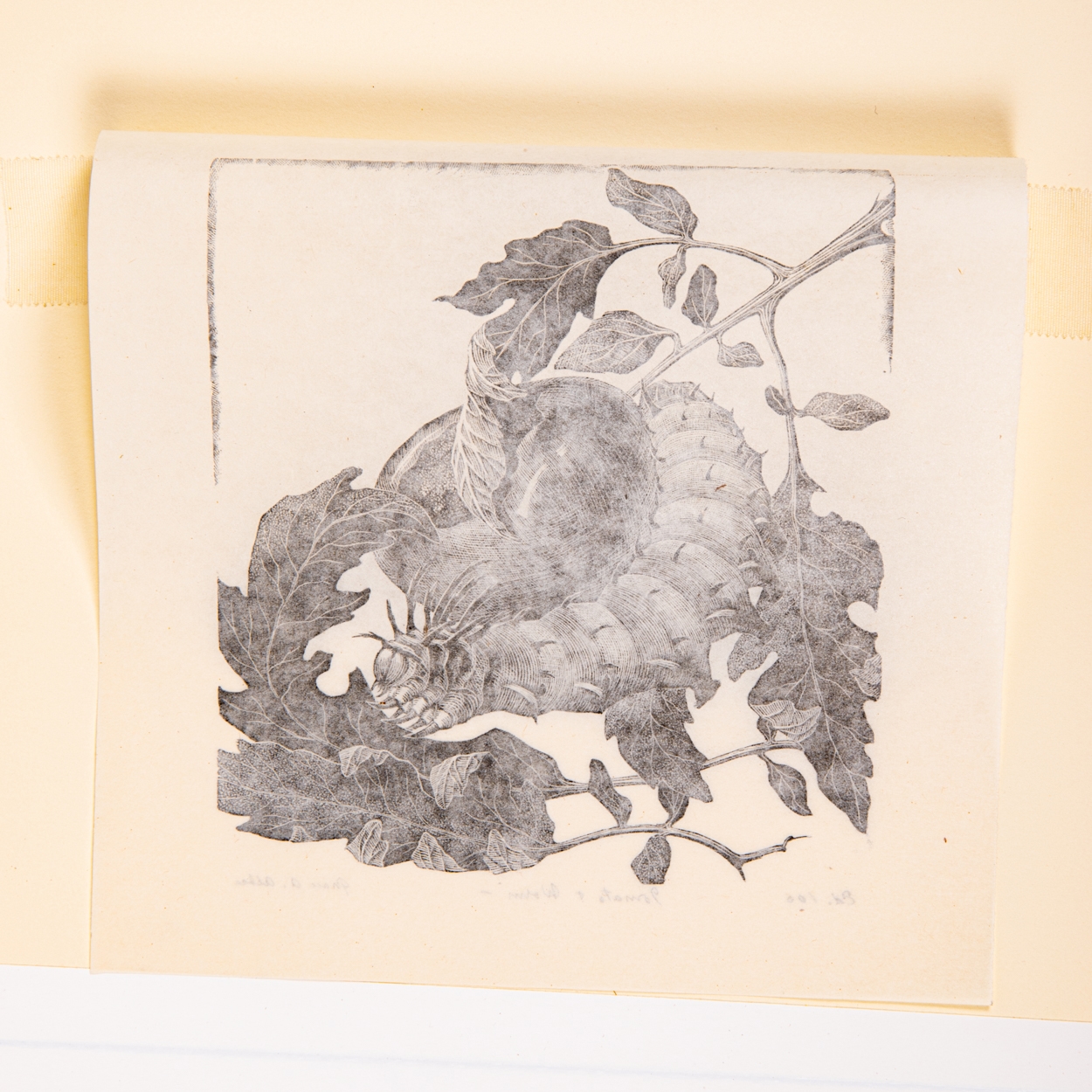 Grace Arnold Albee | Tomato and Worm | MutualArt