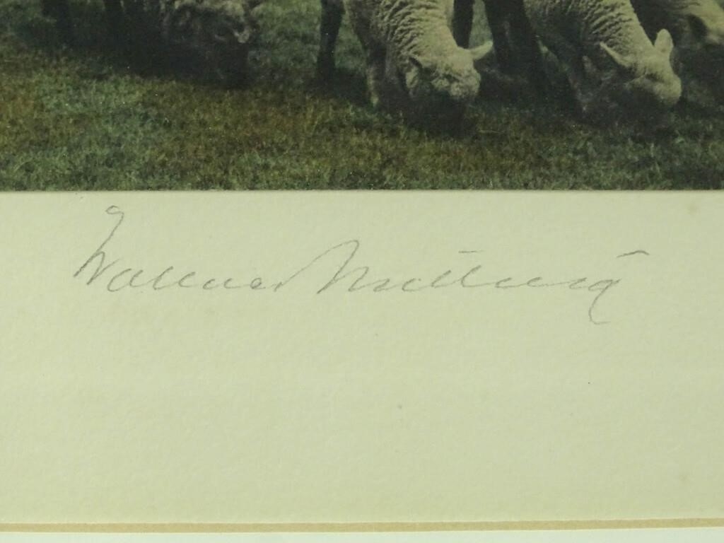 Wallace Nutting | Mary's Little Lamb | MutualArt