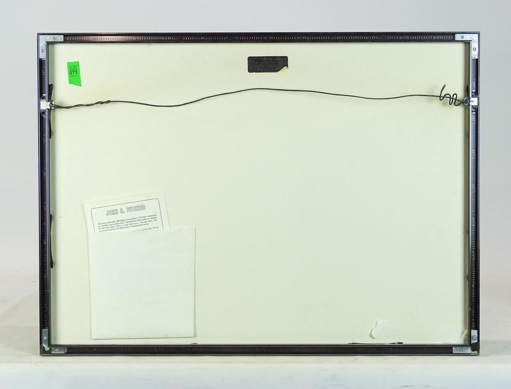 John Pitcher | Duck | MutualArt