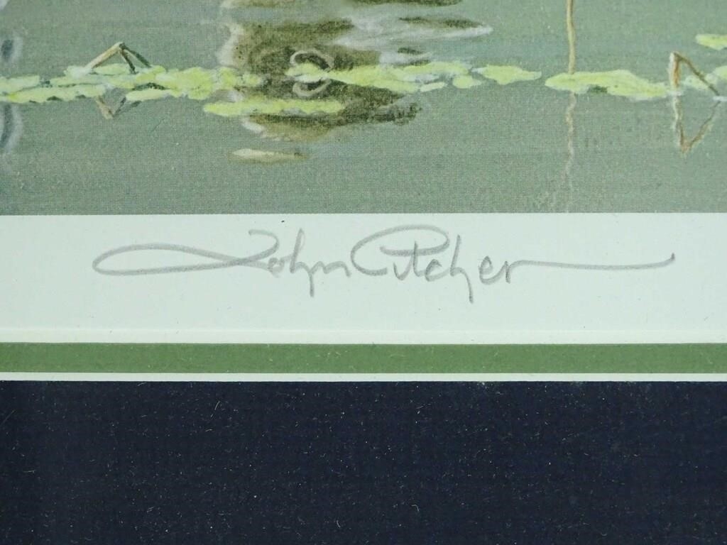 John C. Pitcher | Duck | MutualArt