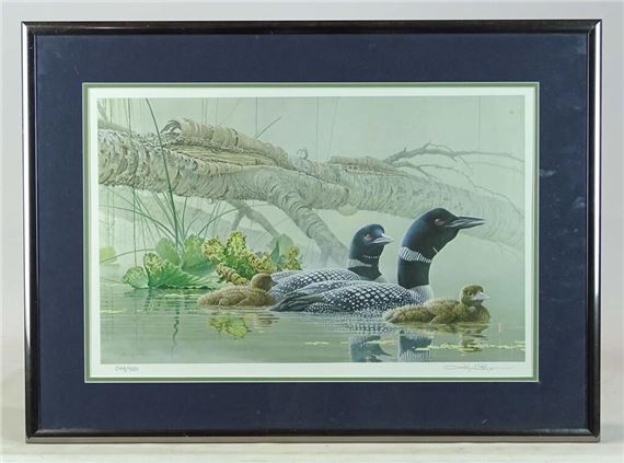 John C. Pitcher | Duck | MutualArt