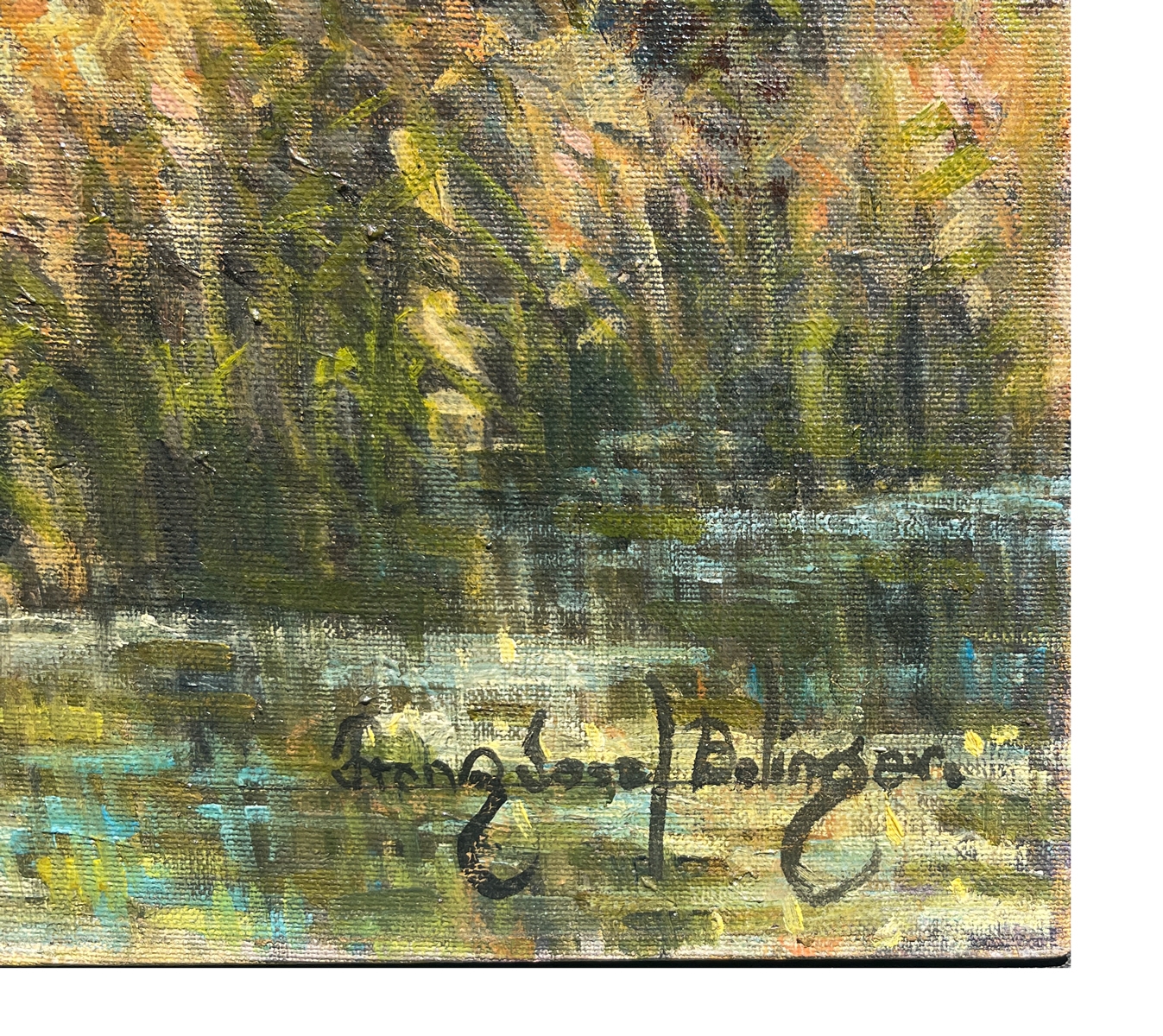 Franz Josef Bolinger | Florida Swamp Scene | MutualArt