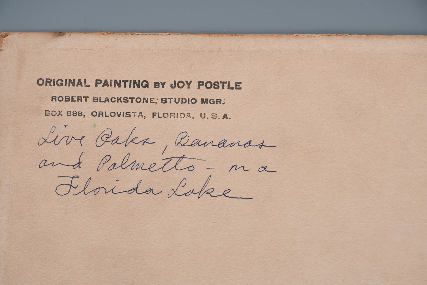 Katherine Joy Postle | ''Live Oaks | MutualArt