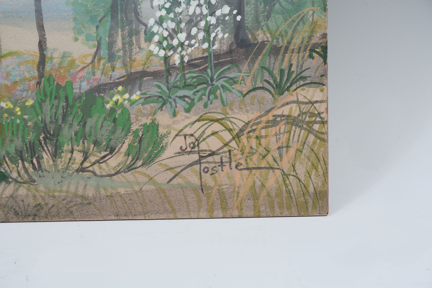 Katherine Joy Postle | ''Sand Hills and Lakes - Central Florida ...