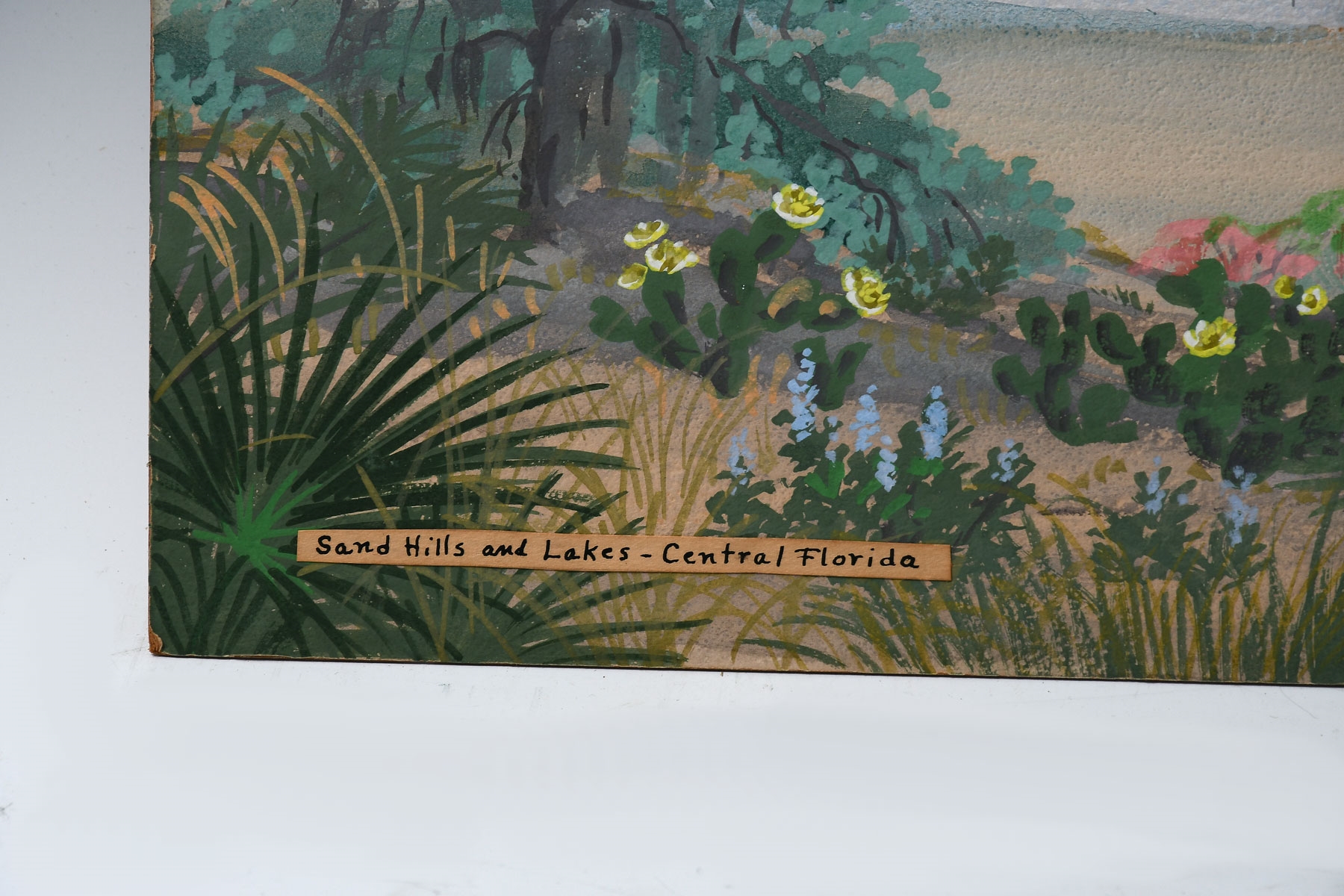 Katherine Joy Postle | ''Sand Hills and Lakes - Central Florida ...