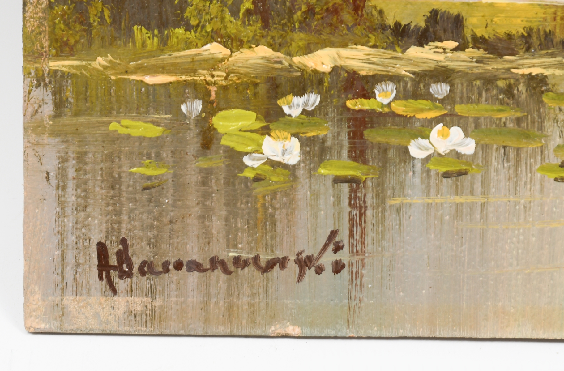 Alexander Baranowski | Florida Sunset Swamp | MutualArt