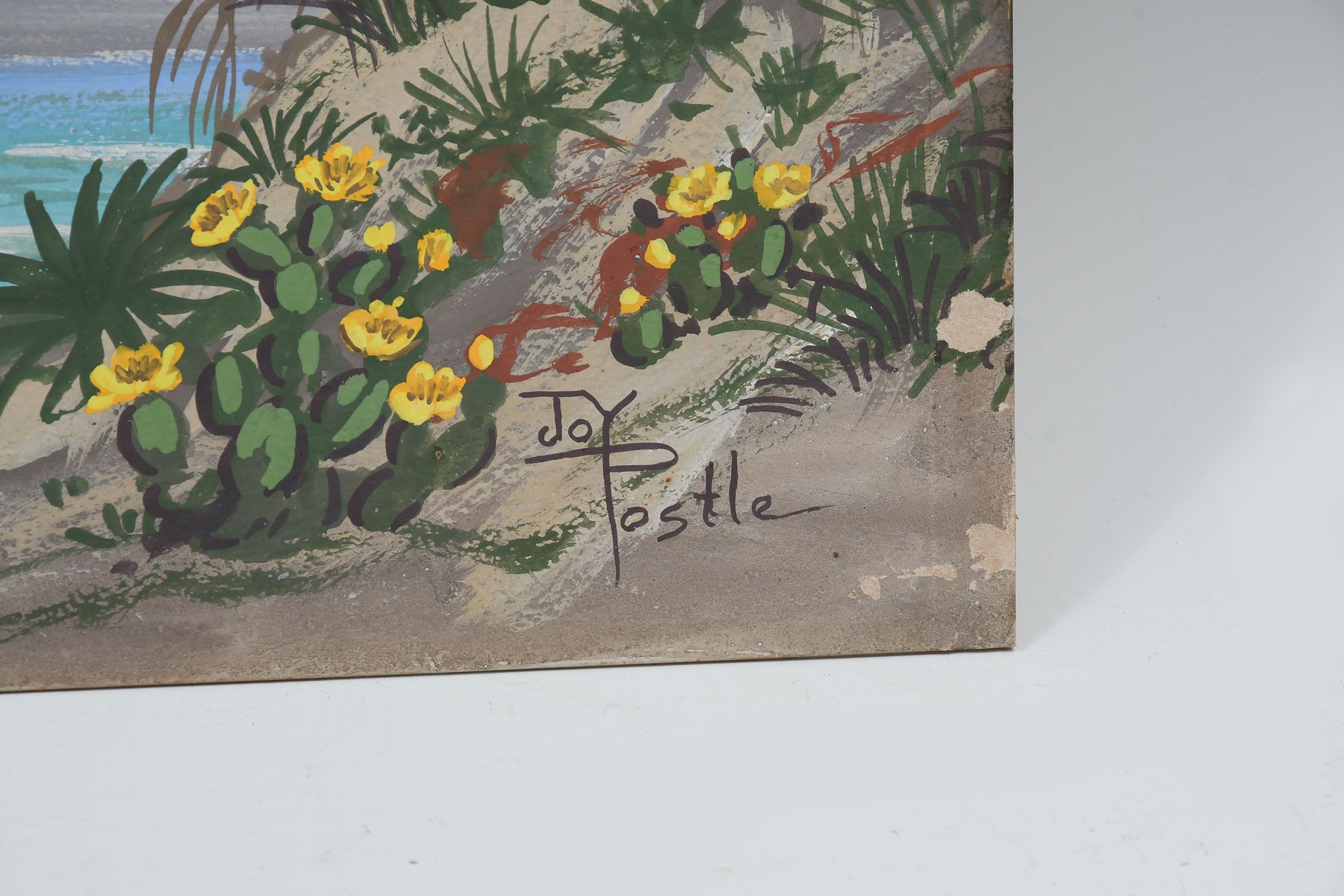 Katherine Joy Postle | ''Cherokee Bean Cactus and Palms - Florida ...