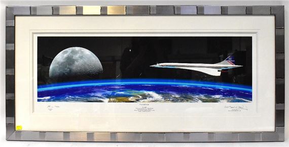 MARTIN ALLEN | 2 Artworks at Auction | MutualArt