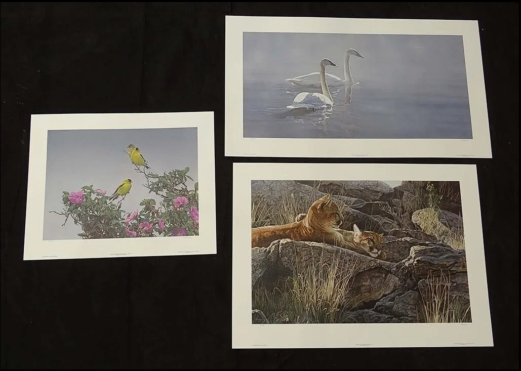 Terry Isaac | OUT OF THE ICE AND SNOW; TRACKING THE EDGE; OUT OF THE ...