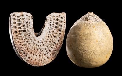 Alan Wallwork | Alan Wallwork [1931-2019] Two Stoneware Vessels | MutualArt