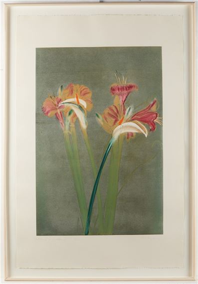 Michael Mazur | Amaryllis/Calla Lily IV | MutualArt