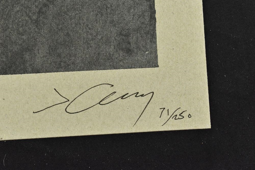 Jimmy Cauty | Queen of Mass Contamination (Positively Negative Edition ...