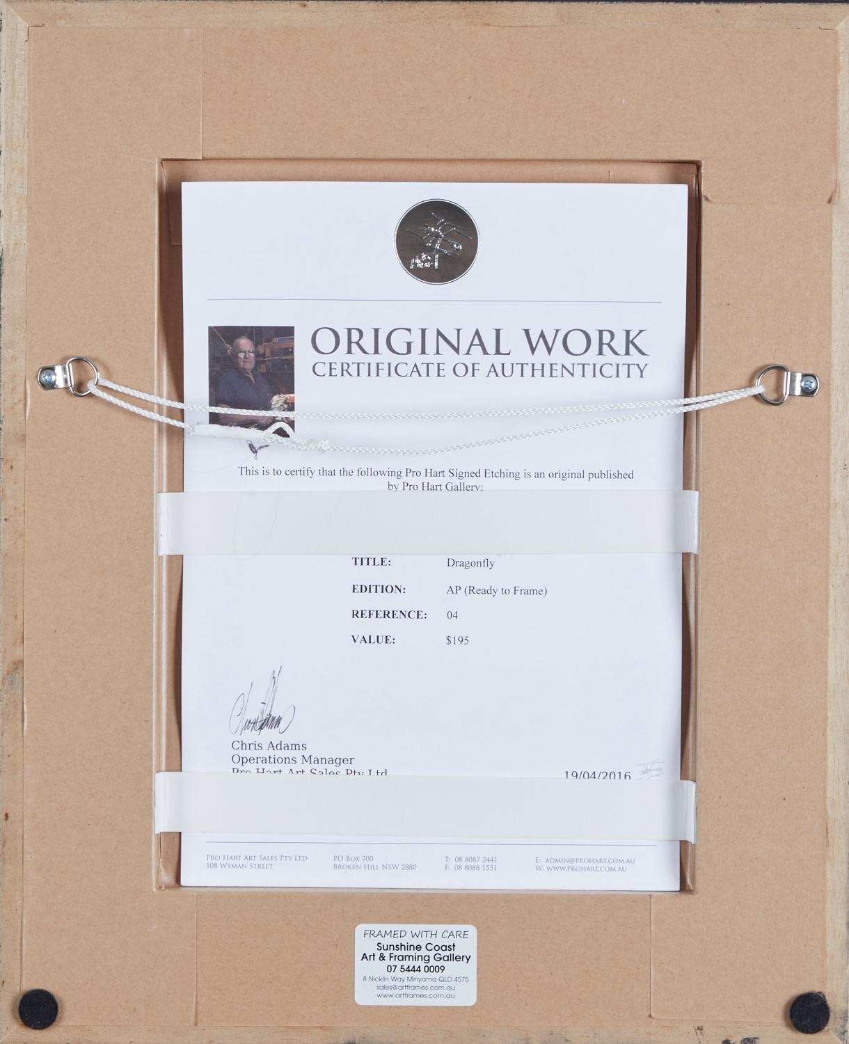 Kevin Charles Hart | Dragonfly (2016) | MutualArt