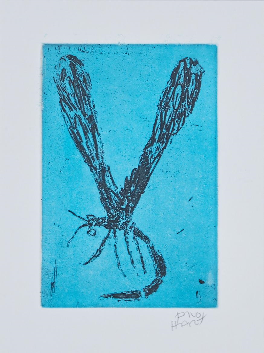 Kevin Charles Hart | Dragonfly (2016) | MutualArt