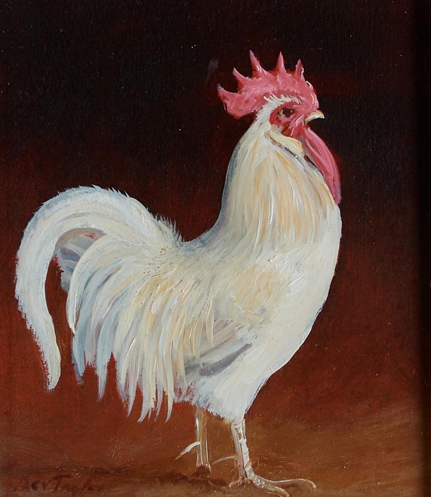Bev Taylor | White Leghorn Cockerel | MutualArt