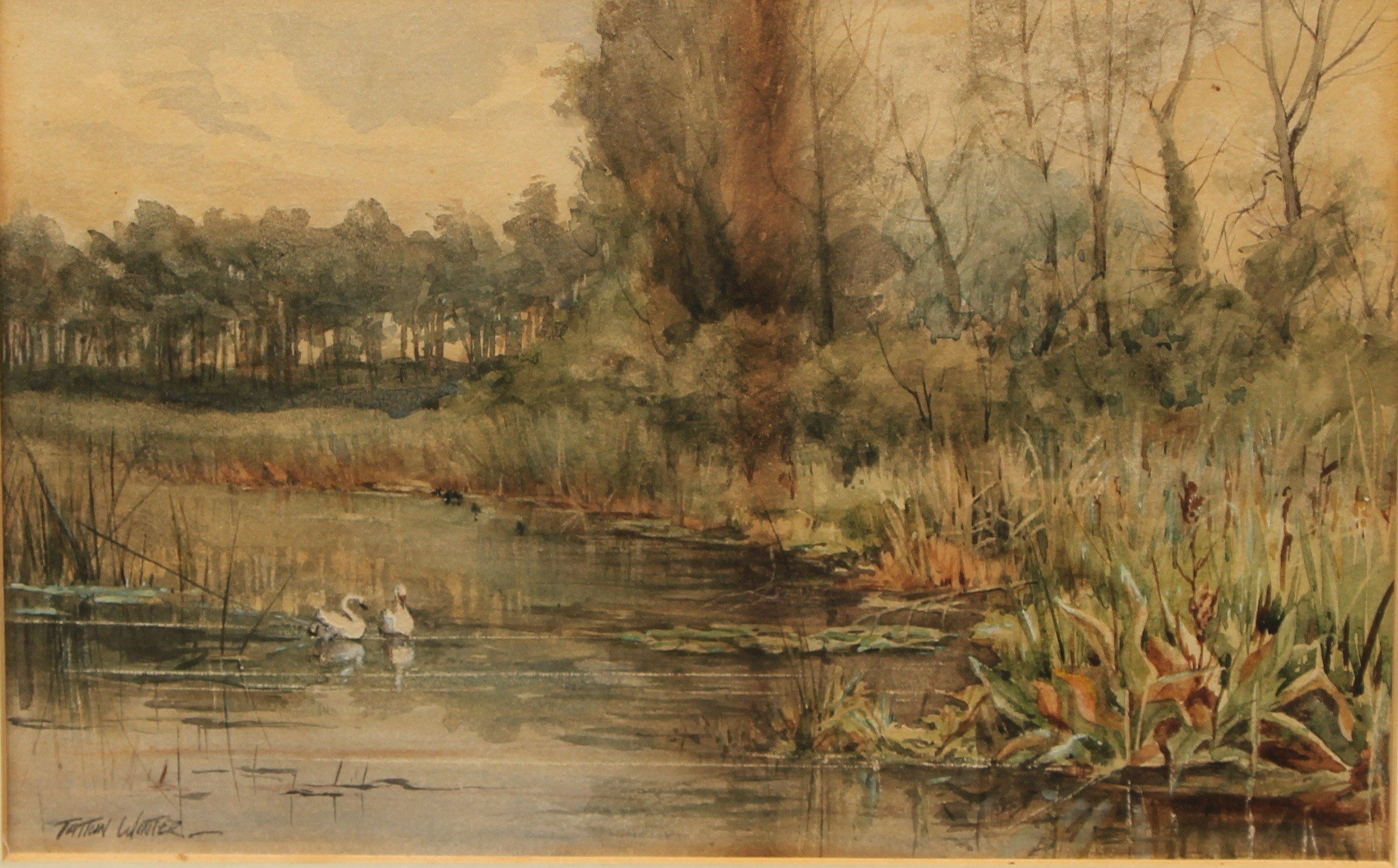 William Tatton Winter | Swans on a Lake | MutualArt