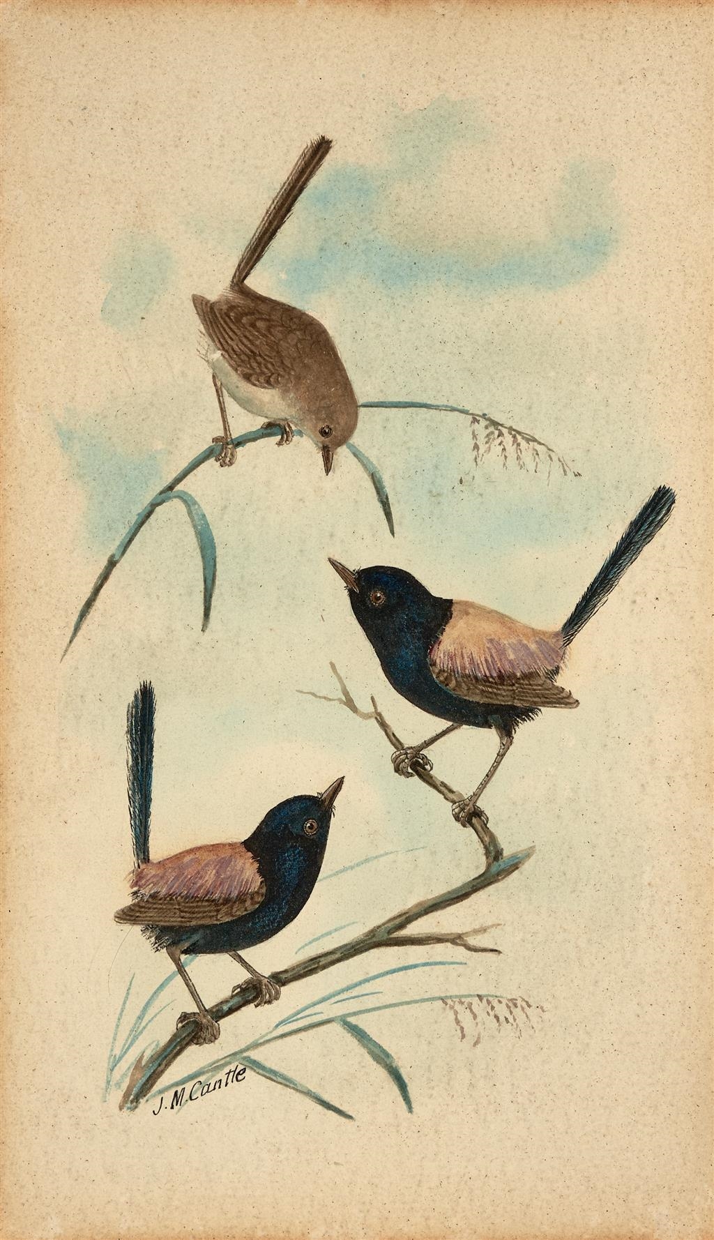 J. M. Cantle | Three Willie Wag Tails | MutualArt