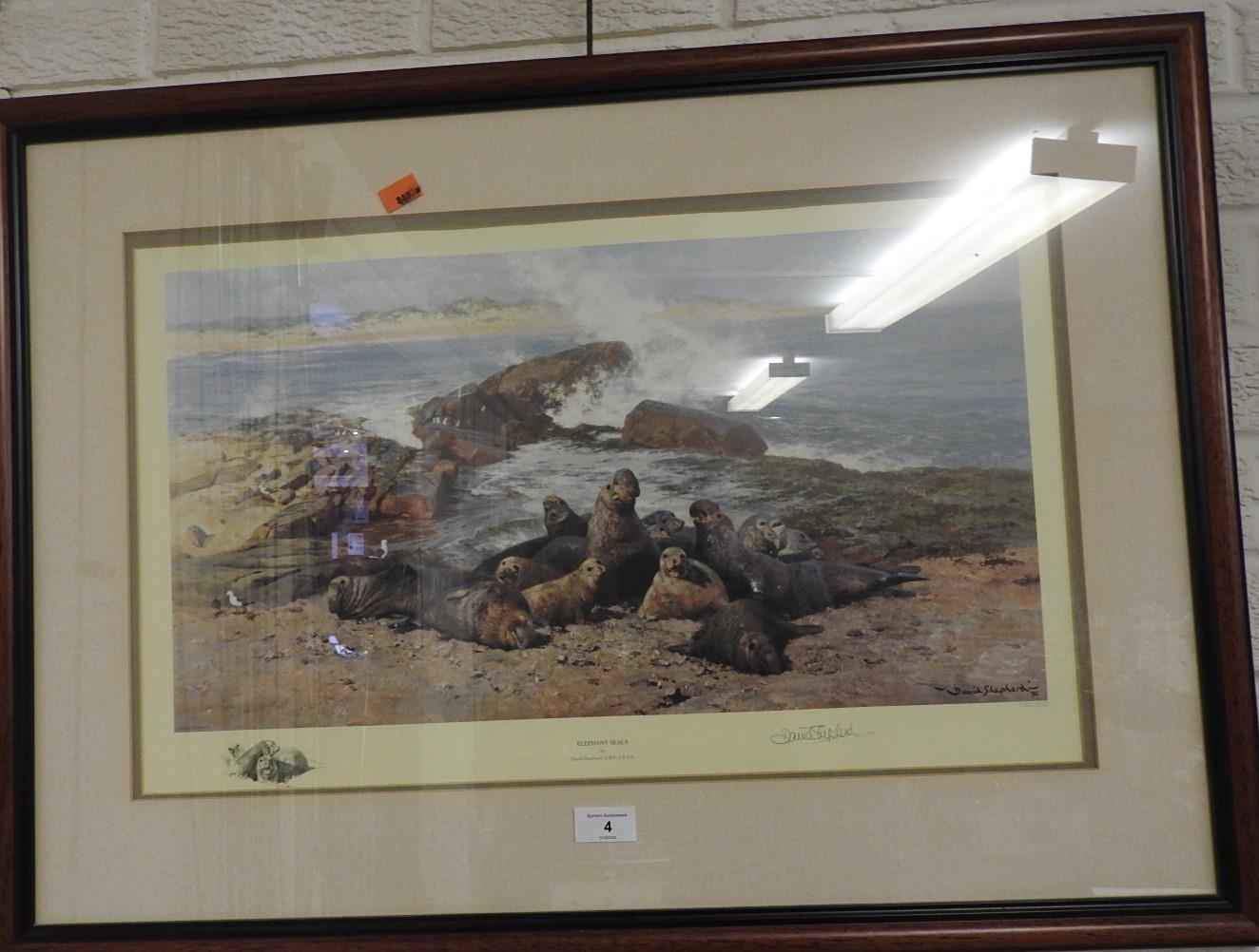 David Shepherd | Elephant Seals | MutualArt