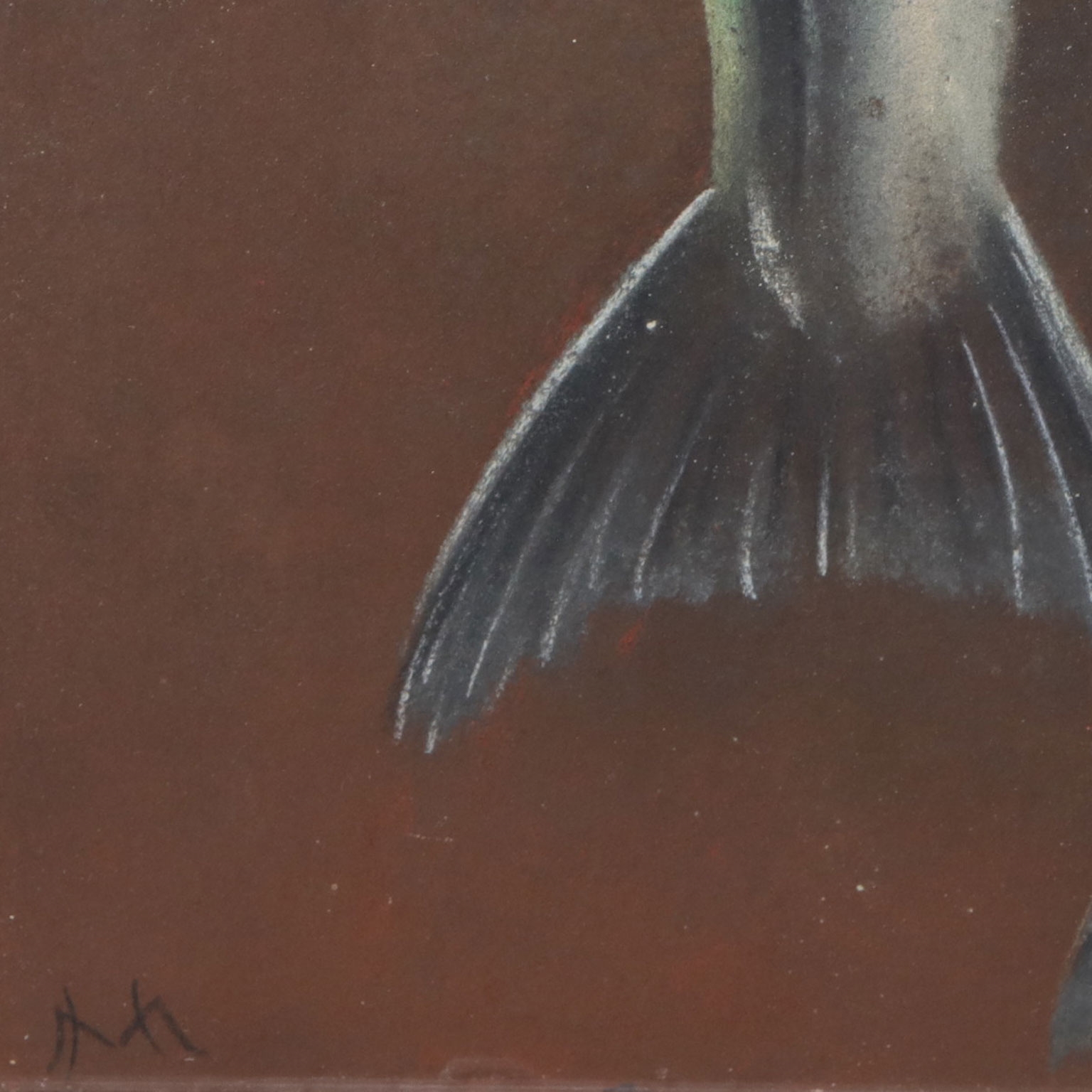 Hal Alexander Courtney Morrison | One of Two Ducks and the other with ...