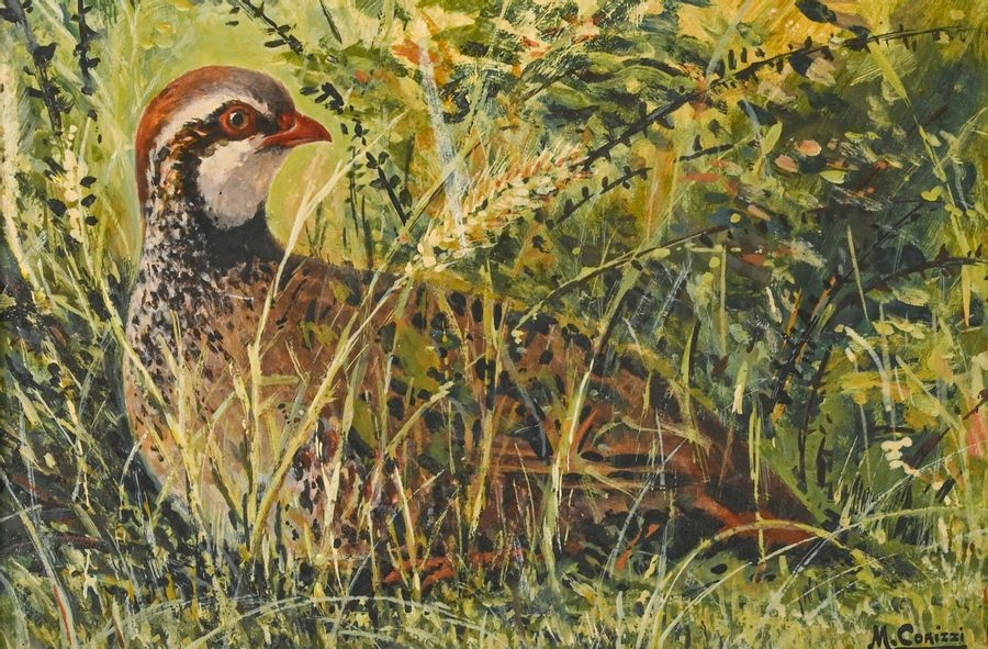 Mathieu Corizzi | Perdrix surveillant le chien à l'arrêt ou Perdrix ...
