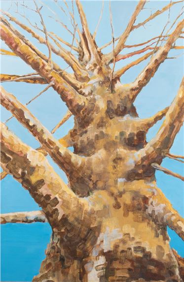 Terry Whittle | 1 Artworks at Auction | MutualArt