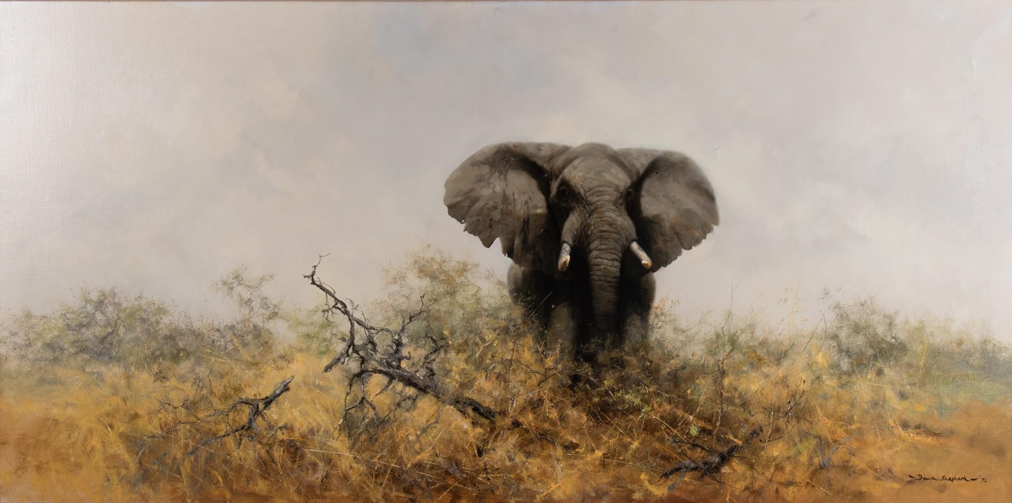 David Shepherd | Etosha Tusker, 1973 (1973) | MutualArt