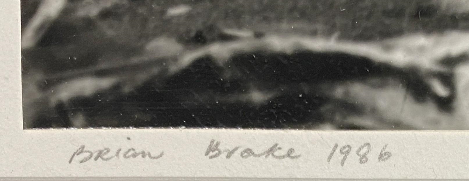 New Zealand School, 20th Century | Brian Brake 1986 (1986) | MutualArt