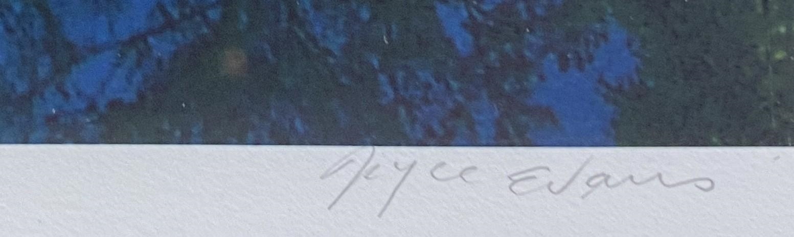 Joyce Evans | Balcombe Creek Reflections | MutualArt