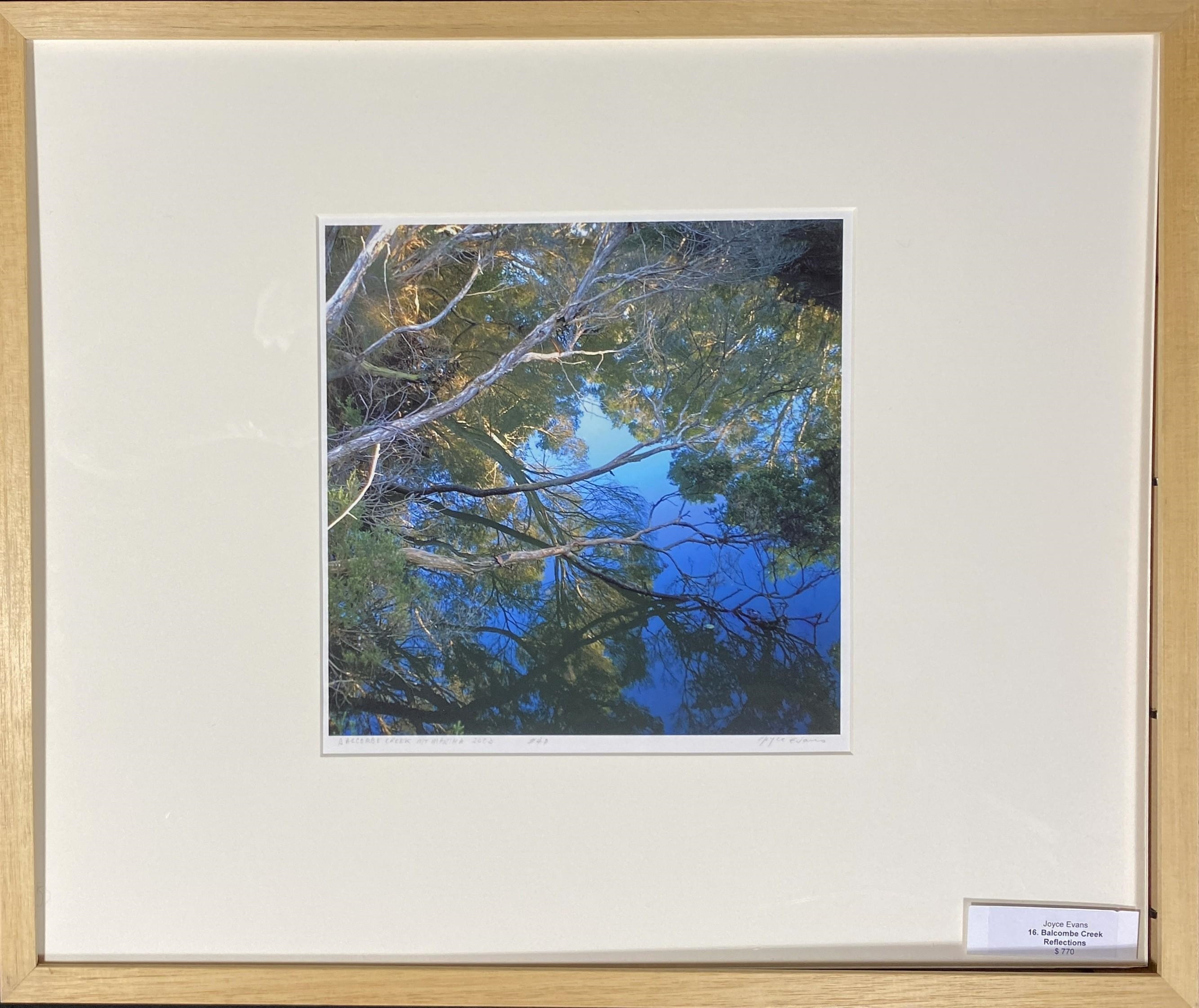 Joyce Evans | Balcombe Creek Reflections | MutualArt