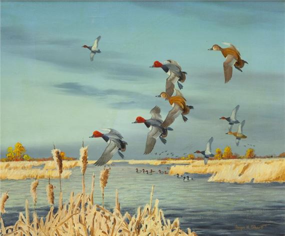 Angus Shortt | Redheads | MutualArt
