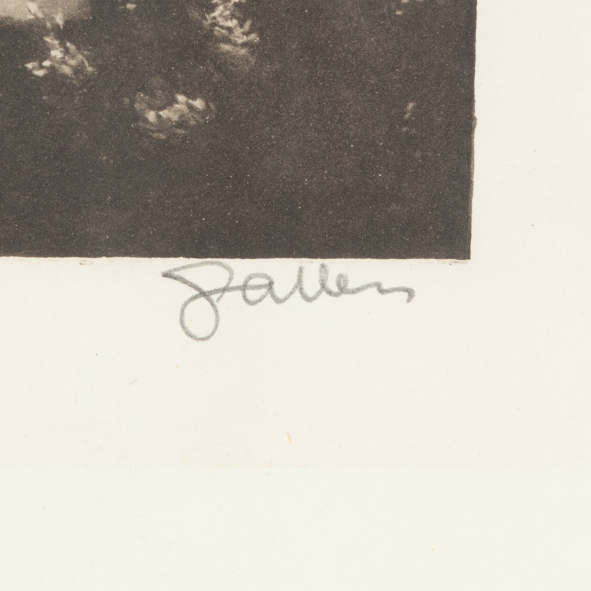 Akseli Gallen-Kallela | from the Aino legend | MutualArt