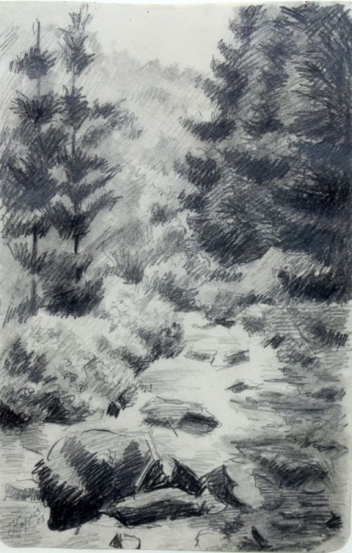 Albert Kappis | Stuttgart Study of a forest (1883) | MutualArt