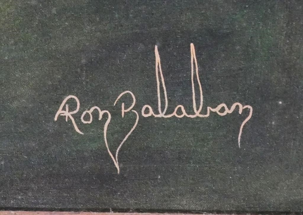 Ron Balaban | A tiger in water | MutualArt