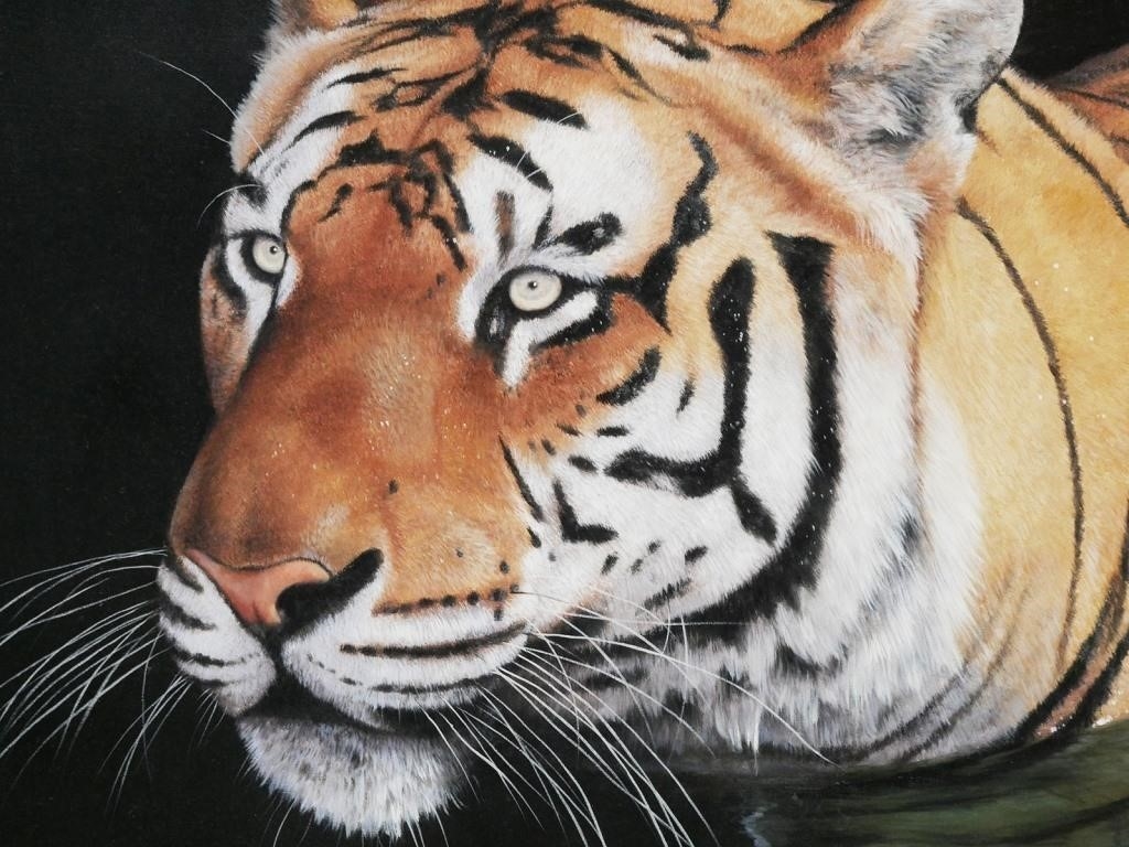 Ron Balaban | A tiger in water | MutualArt