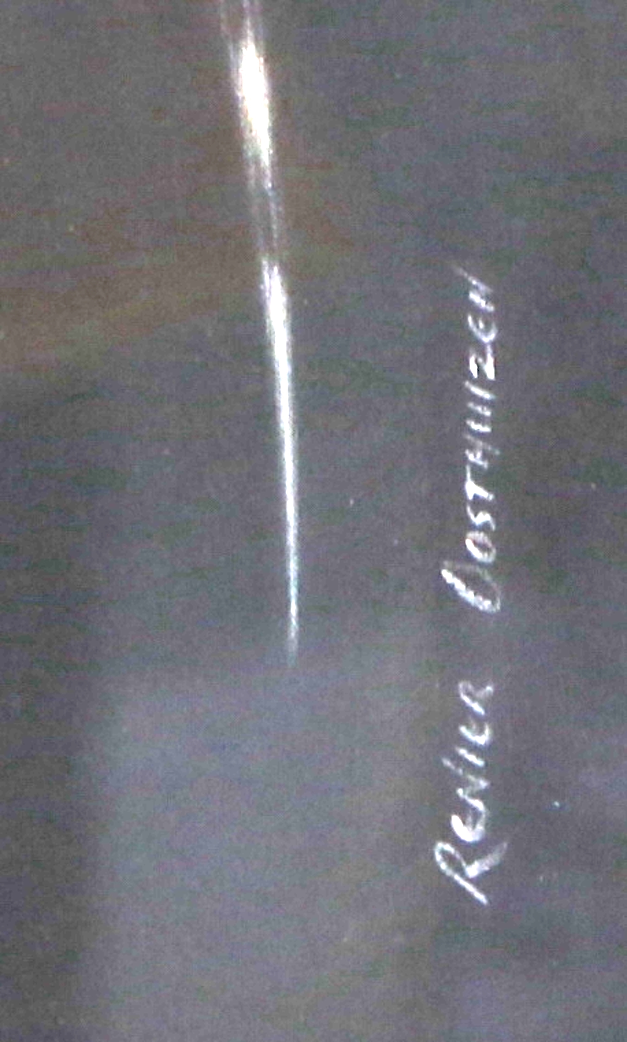 Renier Oosthuizen | POMEGRANATE | MutualArt