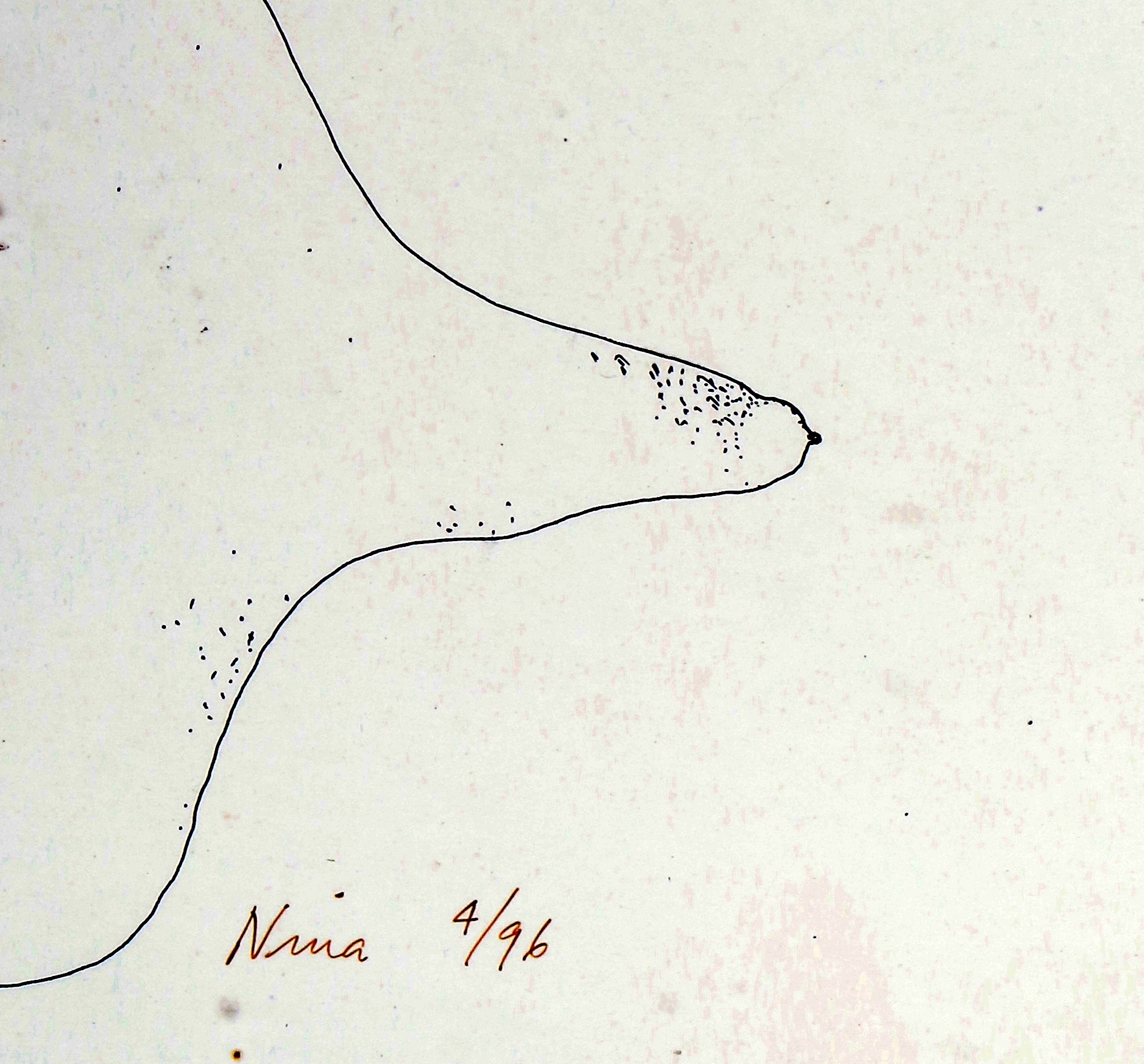 Nina Romm | BALANCING ACT | MutualArt