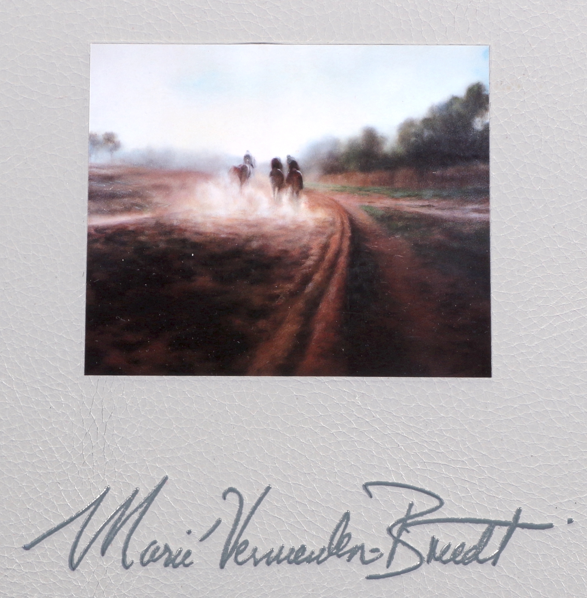 Marie Vermeulen Breedt | INSIDE OUT (2009) | MutualArt