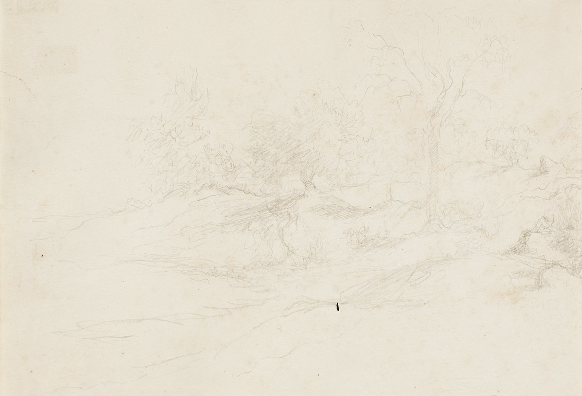 Martin Johnson Heade | Edge of the Woods (Circa 1860) | MutualArt